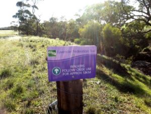 Lavender Federation Trail - Visit Burra